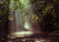 Hunting Kryptografima